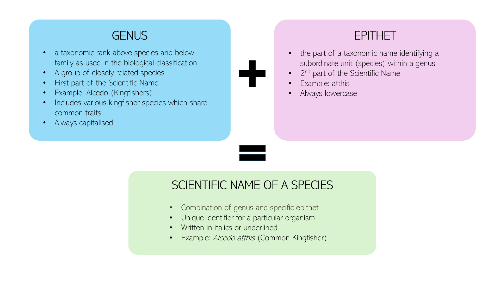 Common Names Vs Scientific Names: More Than Just Fancy Labels – birdbrainsg